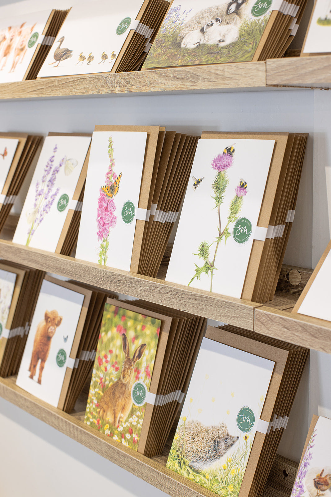 Visit Gallery – Stacey Moore