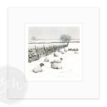 Stacey Moore Art | Detailed Wildlife & Landscape Prints from Yorkshire