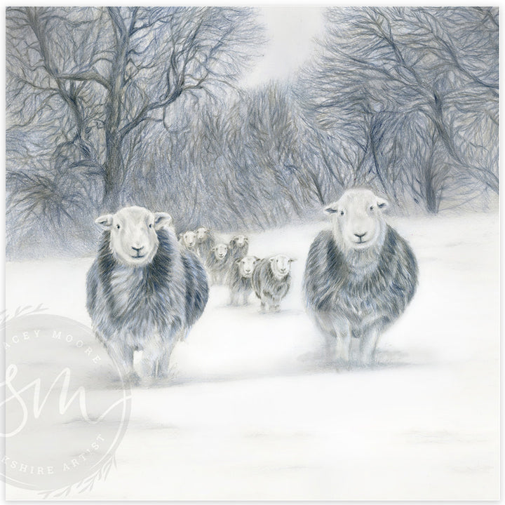 Stacey Moore Art | Detailed Wildlife & Landscape Prints from Yorkshire