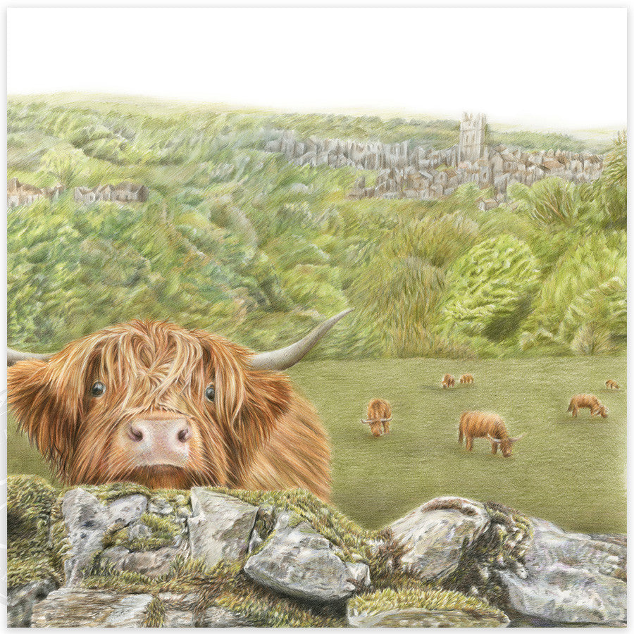 Stacey Moore Art | Detailed Wildlife & Landscape Prints from Yorkshire