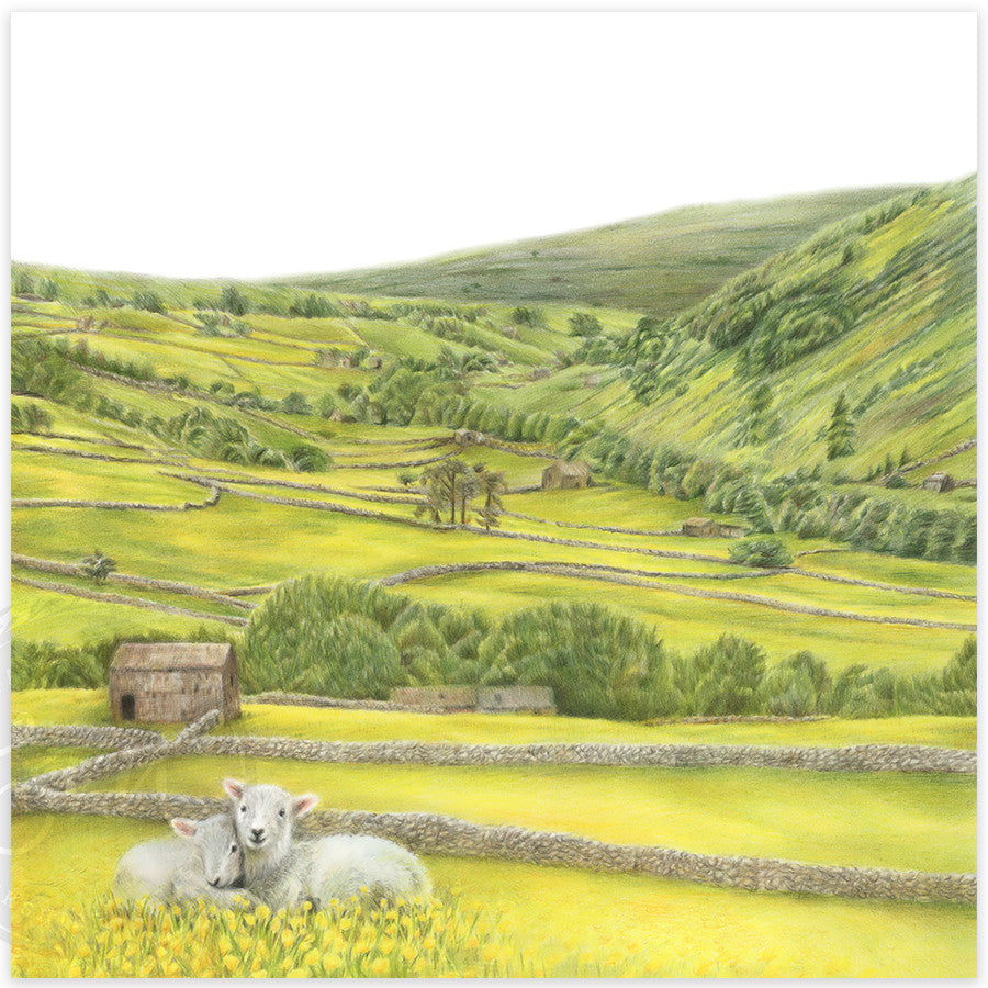 Stacey Moore Art | Detailed Wildlife & Landscape Prints from Yorkshire