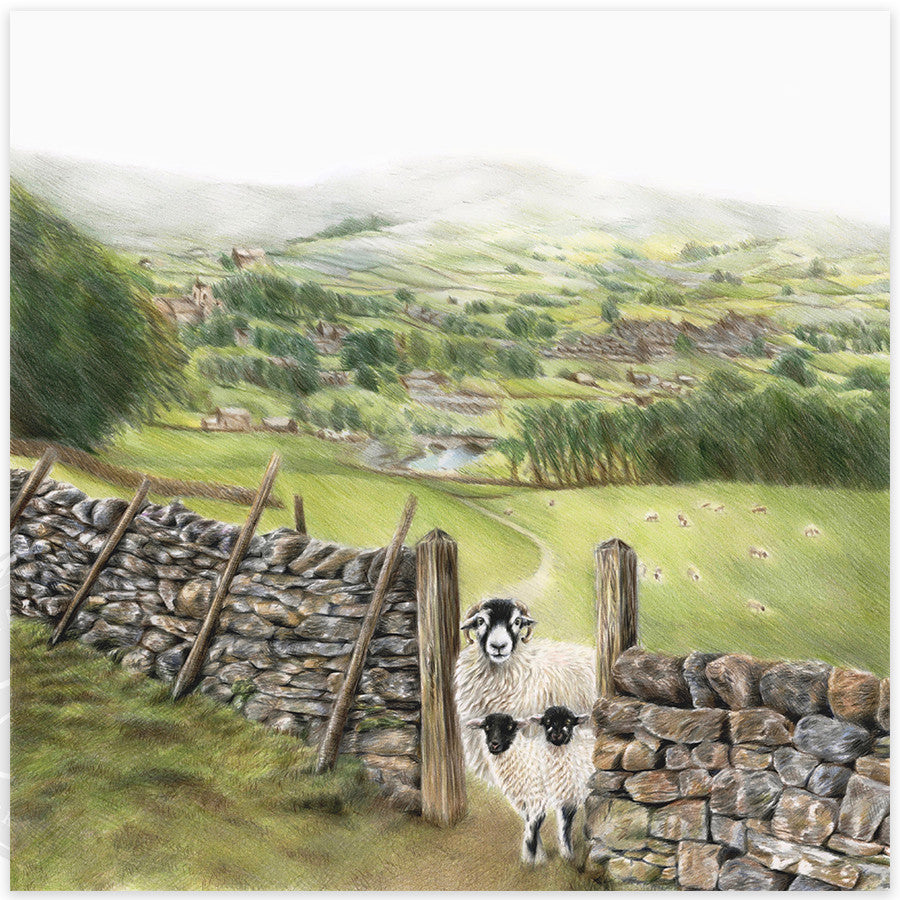 Stacey Moore Art | Detailed Wildlife & Landscape Prints from Yorkshire
