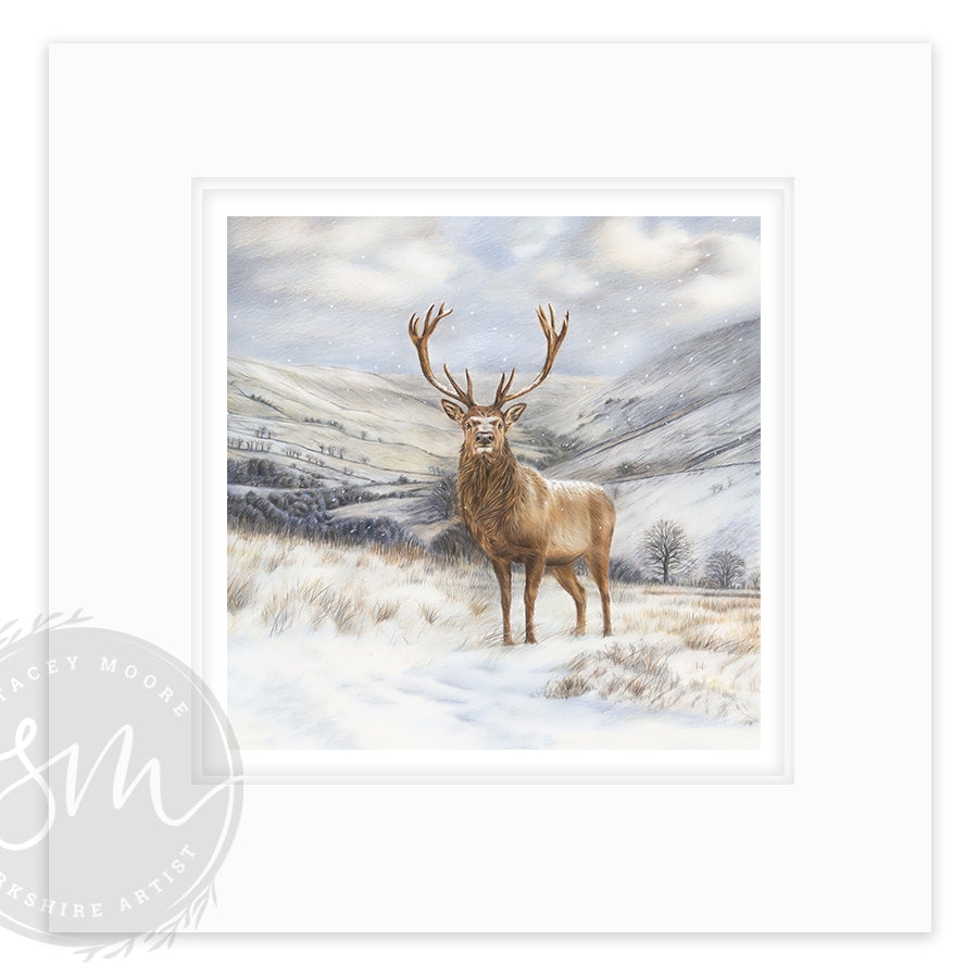 Stacey Moore Art | Detailed Wildlife & Landscape Prints from Yorkshire